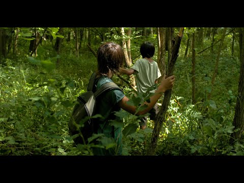 I CORMORANI - un film di Fabio Bobbio | Trailer Ufficiale [HD]