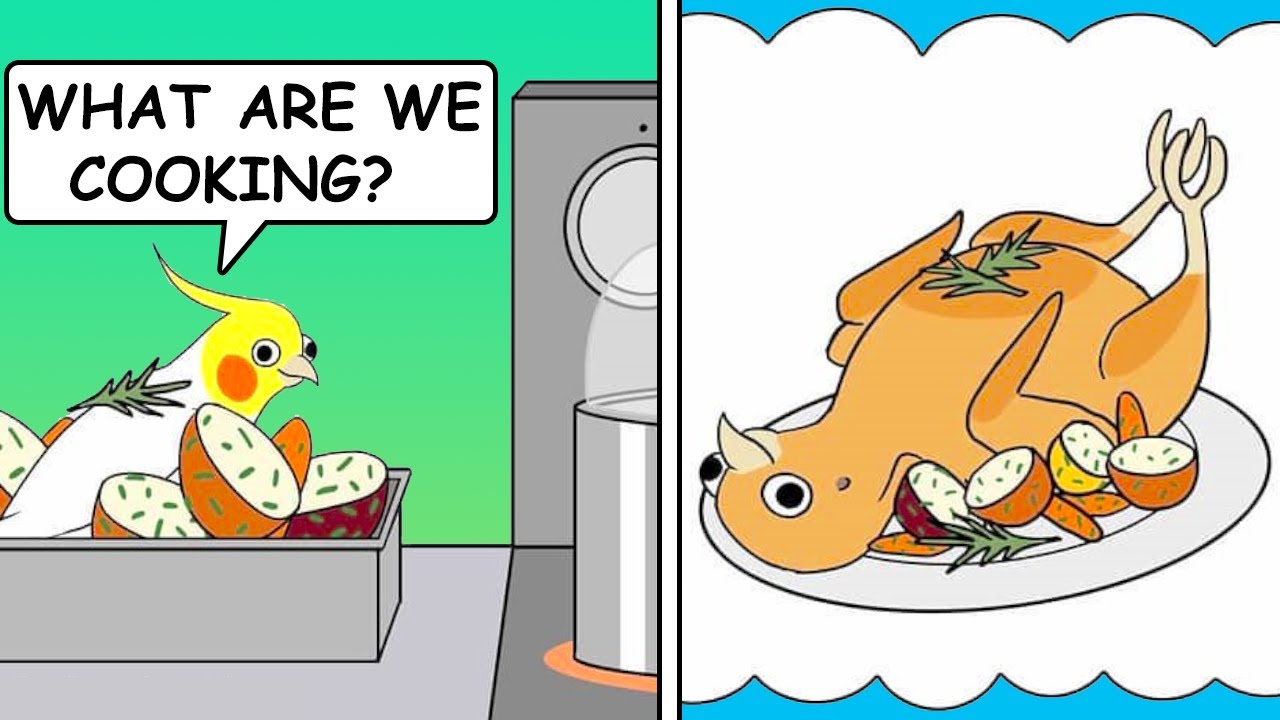 Comics With a Parrot Twist #11 | Hilarious Comic Dub - YouTube