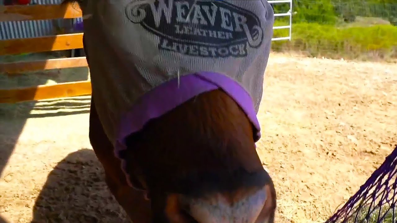Winnie gets a little TOO close to the camera at Alveus - YouTube