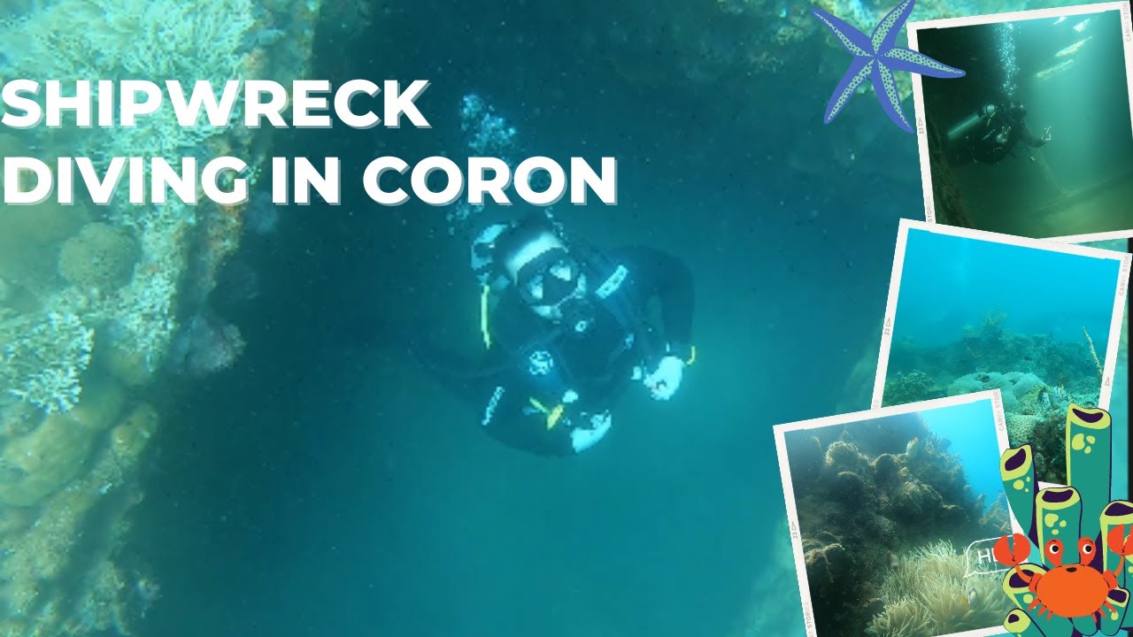 SHIPWRECK DIVING IN CORON INCREDIBLE EXPERIENCE MUST DIVE! - YouTube