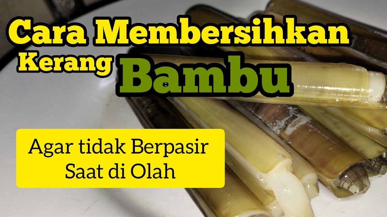 Cara membersihkan kerang bambu agar tidak Berpasir saat di olah#lorjhuk ...