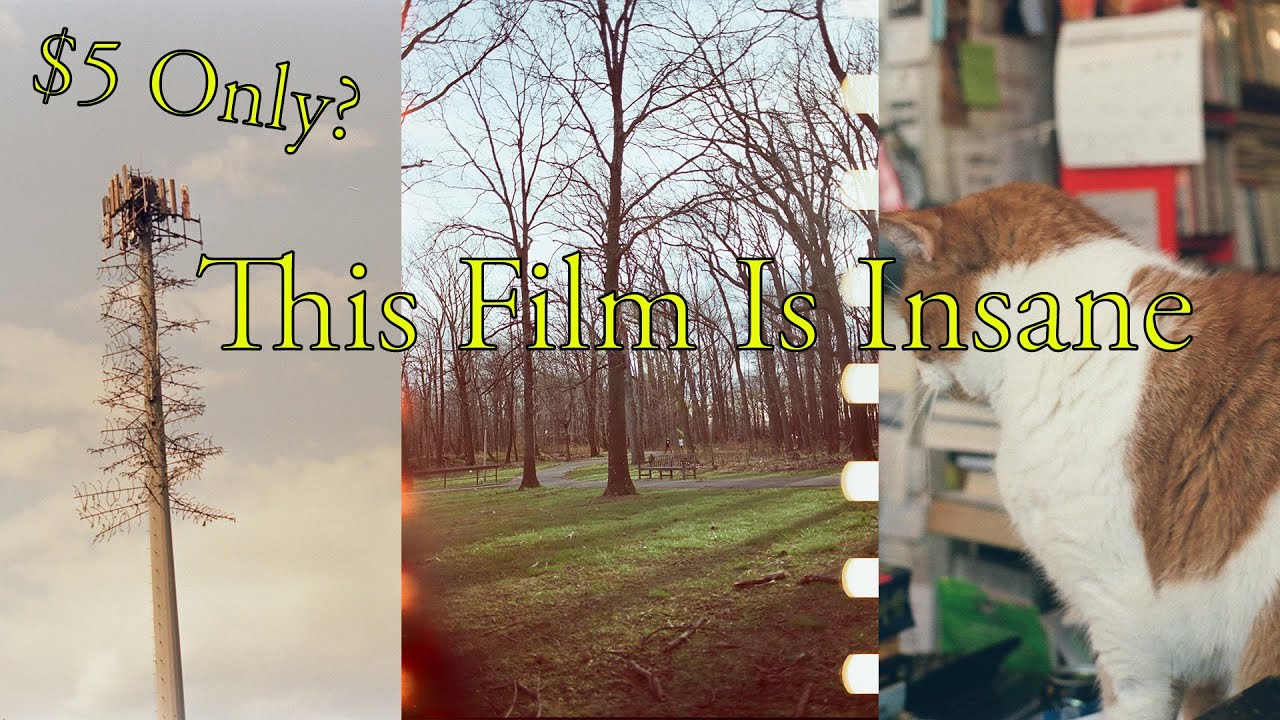 My New Favorite Cheap FILM! - YouTube