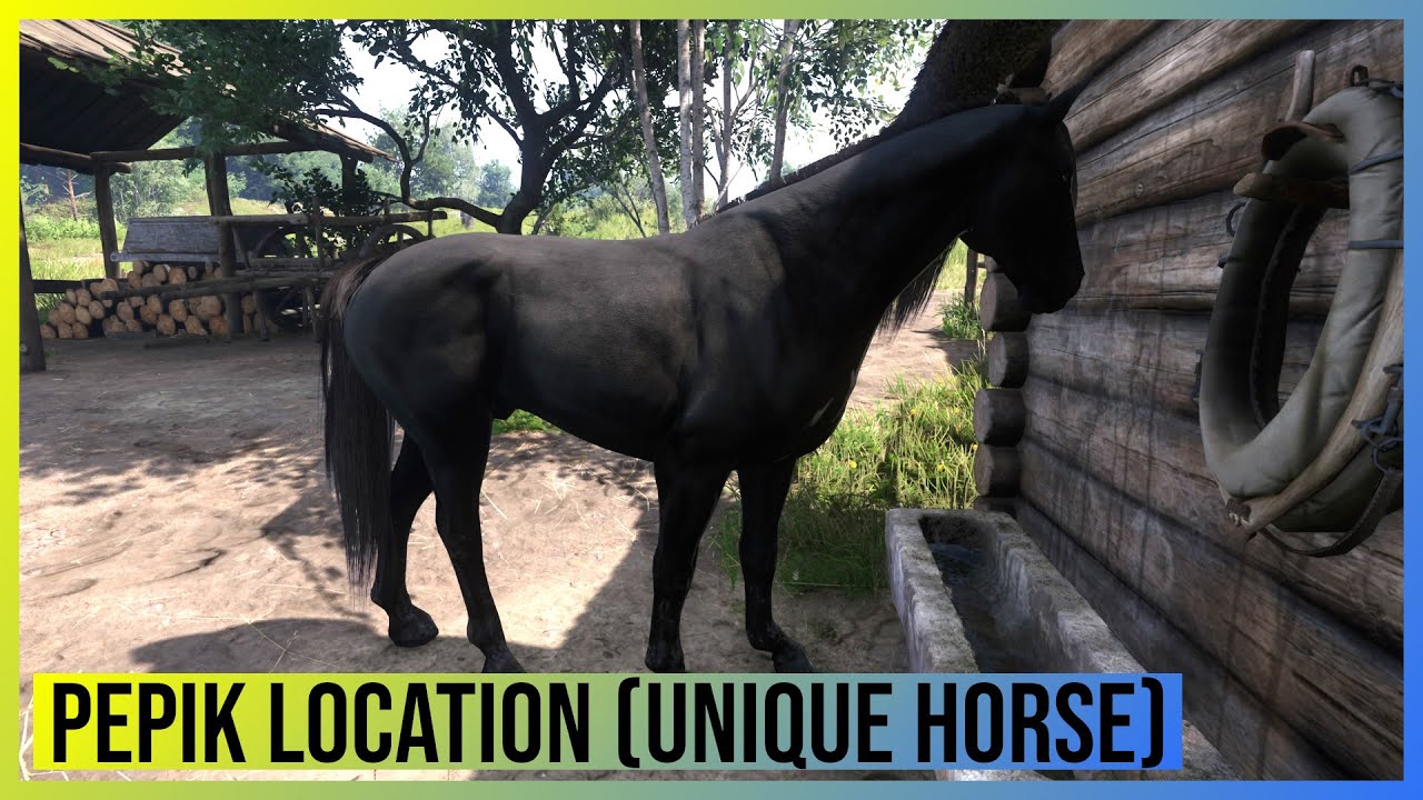 Kingdom Come Deliverance 2: Pepik Location (Unique Horse) - YouTube