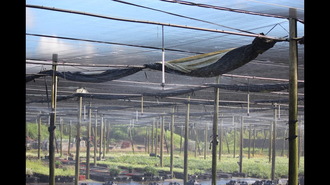 Senninger's Micro-Sprinklers: Better Options for Low-Volume Irrigation ...