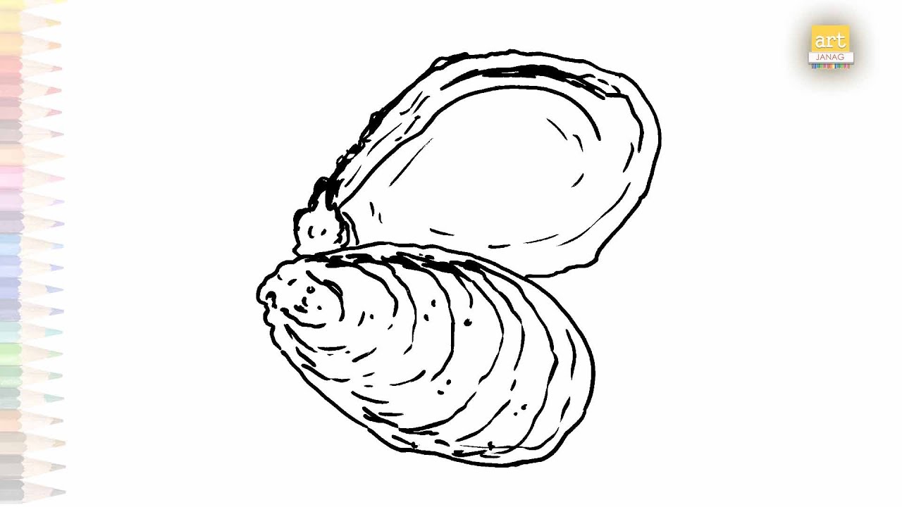 Sea Oyster drawing easy | Art tutorial | How to draw A Oyster shell ...