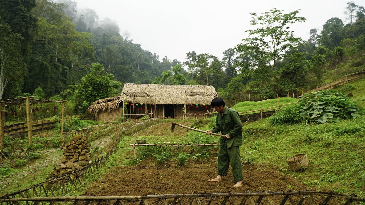 Growing Beans And Pineapple, Gardening | Daily work on the farm || EP ...