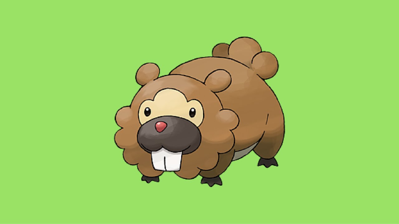 Pokemon Battle ORAS- Bidoof! - YouTube