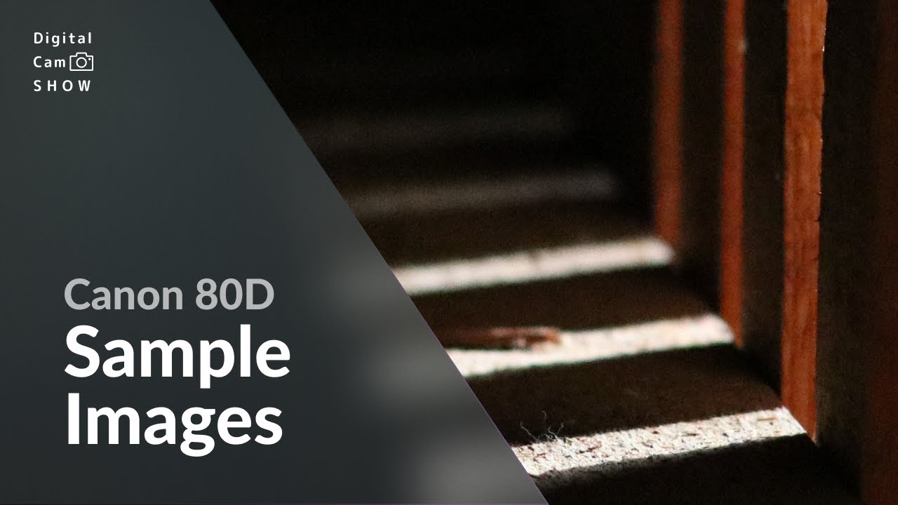 Canon EOS 80D Sample Images With Camera Settings (2022) - YouTube