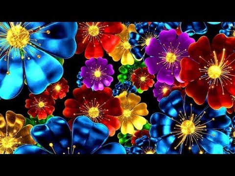 Colorful Flowers (Motion Graphics) - YouTube