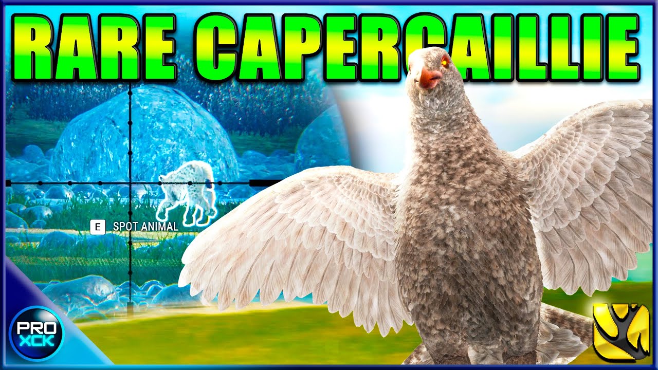Thats a VERY RARE Trophy! | Chasing Diamonds & Rares in theHunter Call ...