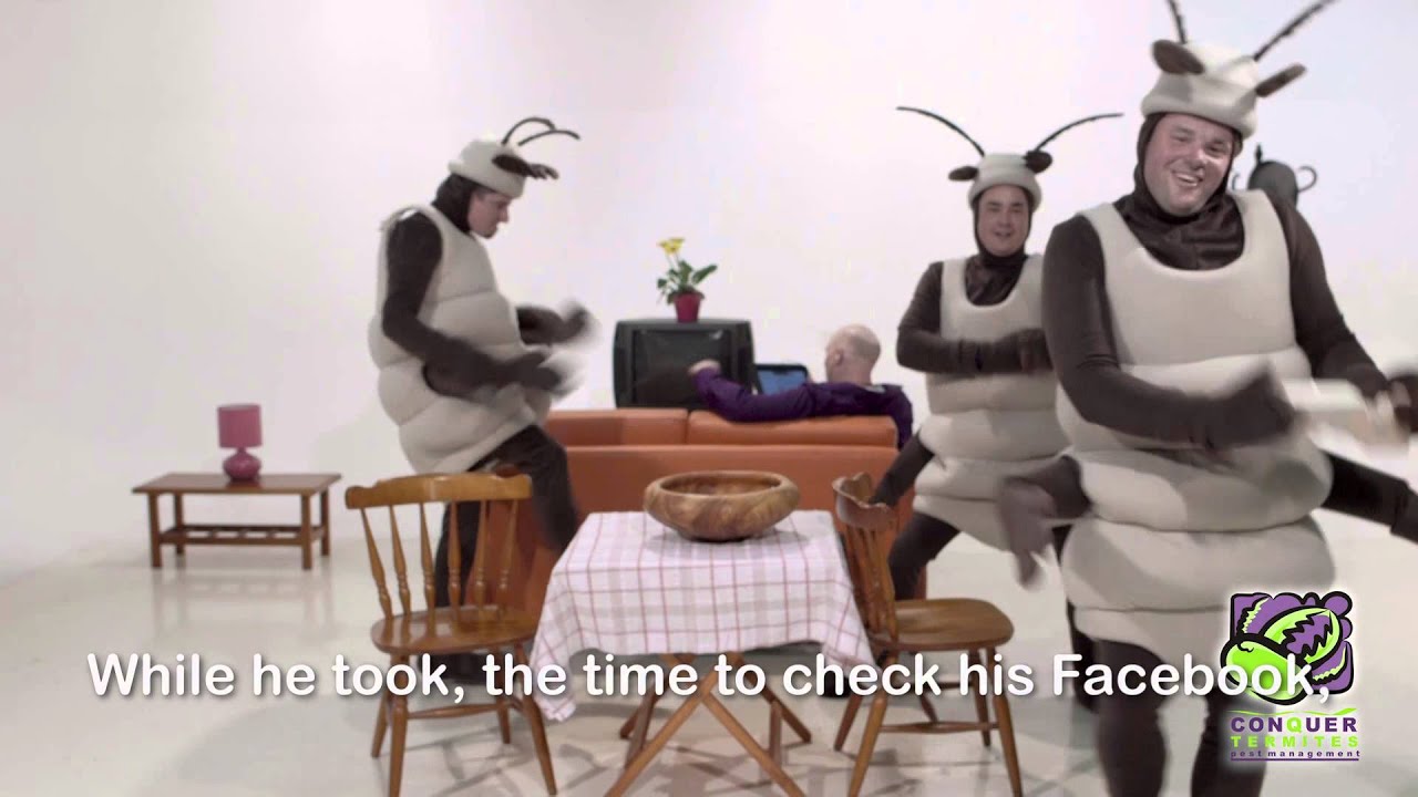 The Famous Conquer Termites Dancing Termites Video - YouTube