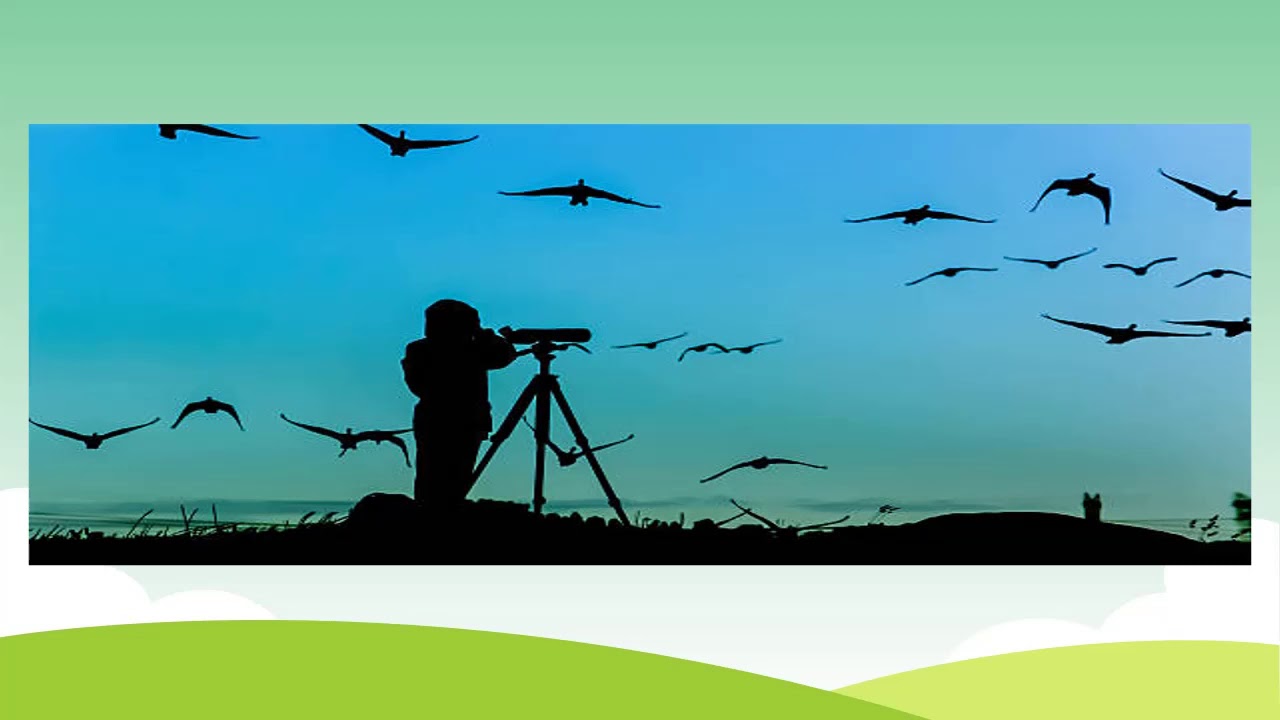 English- Class IV- Lesson 1 (Bird Watching) - YouTube