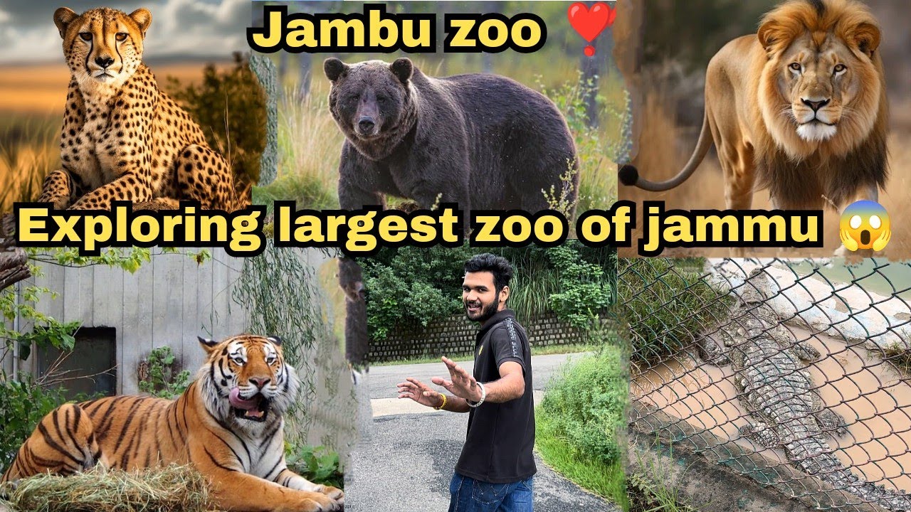 Exploring jammu's Largest Zoo / Jambu zoo in jammu | Largest zoo of ...