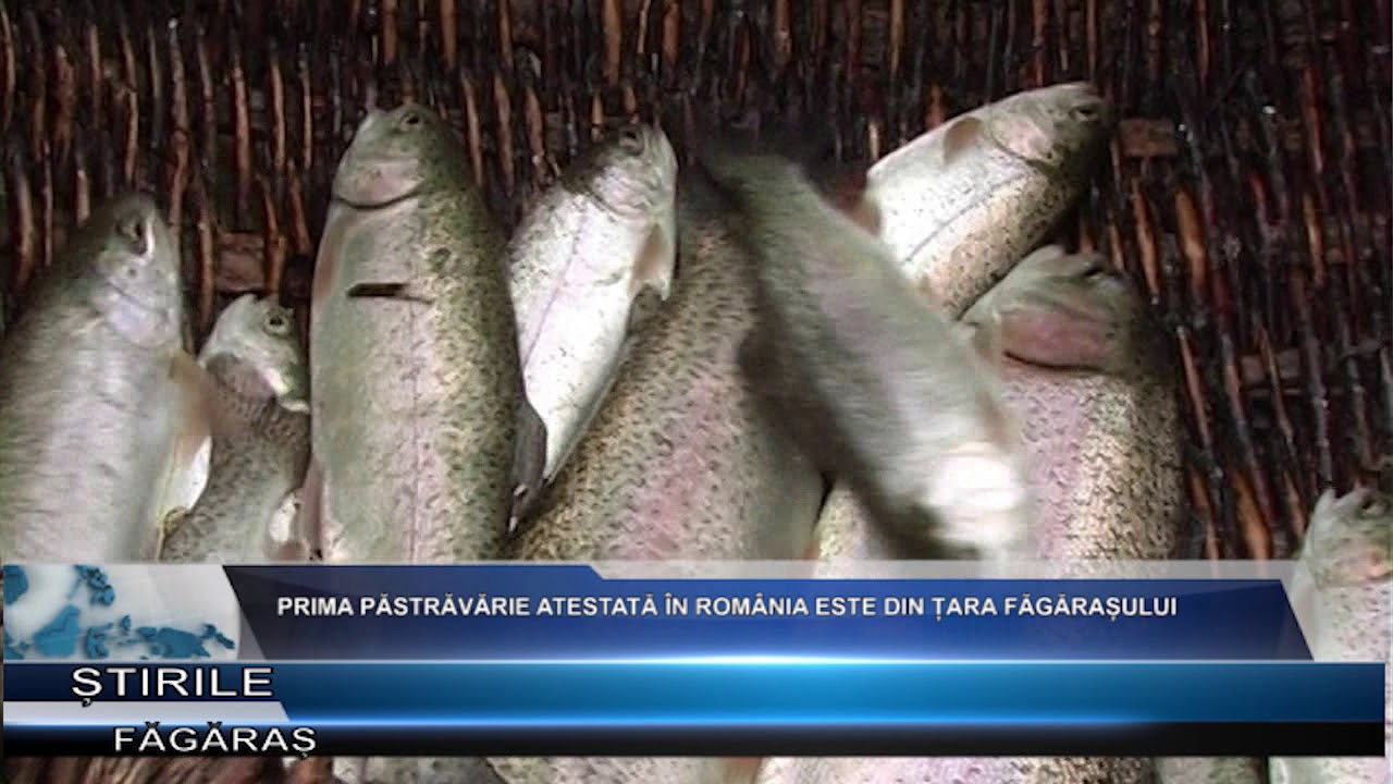 Prima pastravarie atestata in Romania este din Tara Fagarasului - YouTube