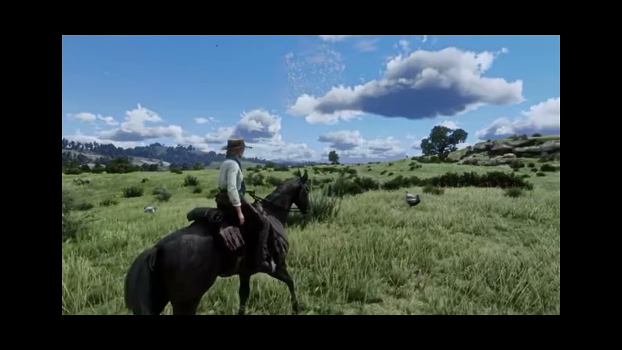 red read redemption 2 4k - YouTube