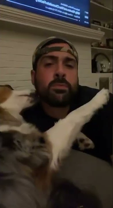 Dog won’t stop licking my dad #shorts #dog #dogs #aussie - YouTube