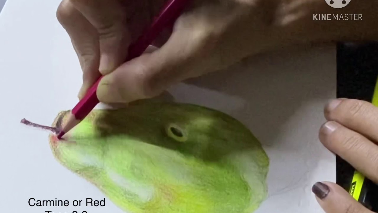Pears ; Colour pencil drawing - YouTube