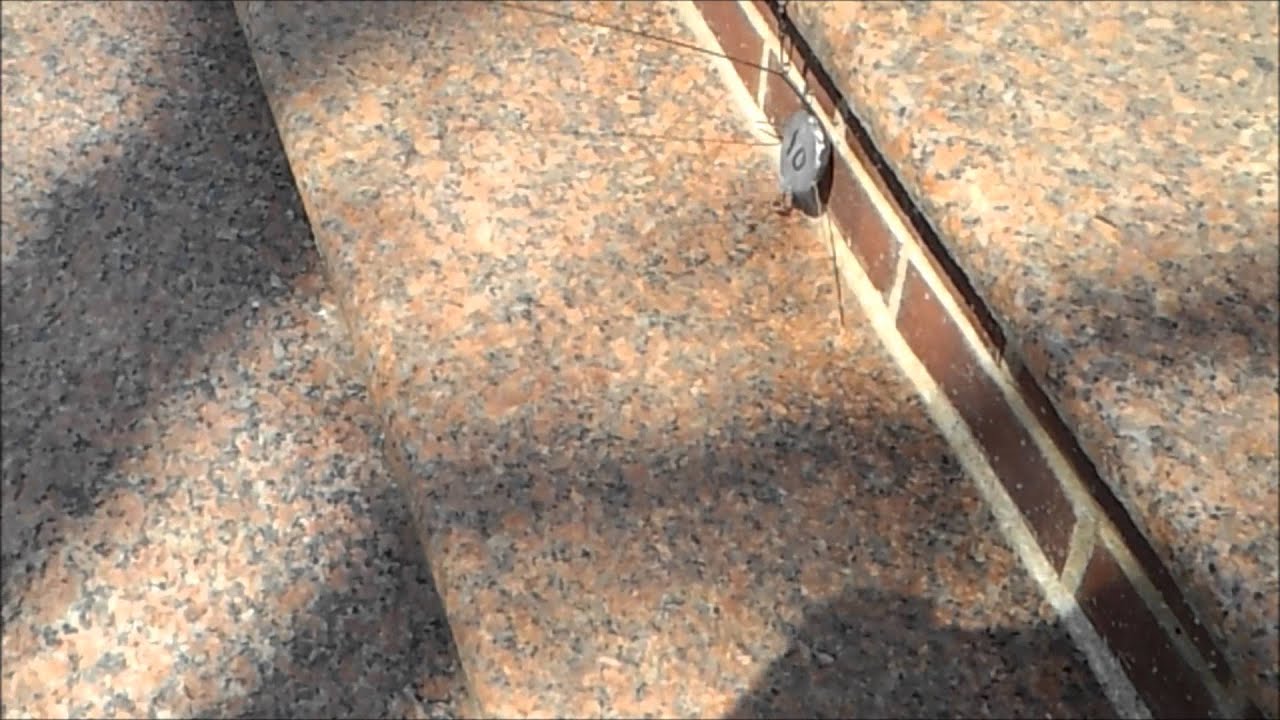 Bottom Walker By "The Rig Master" - YouTube