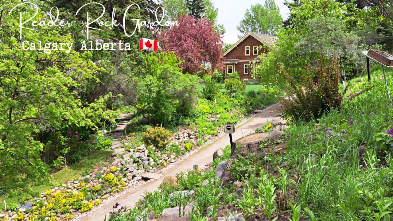 Reader Rock Garden Calgary Alberta 🇨🇦 - YouTube