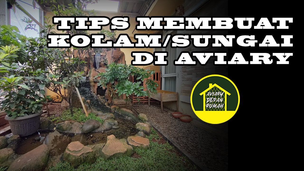 Tips membuat kolam atau sungai buatan - Aviary Depan Rumah - YouTube