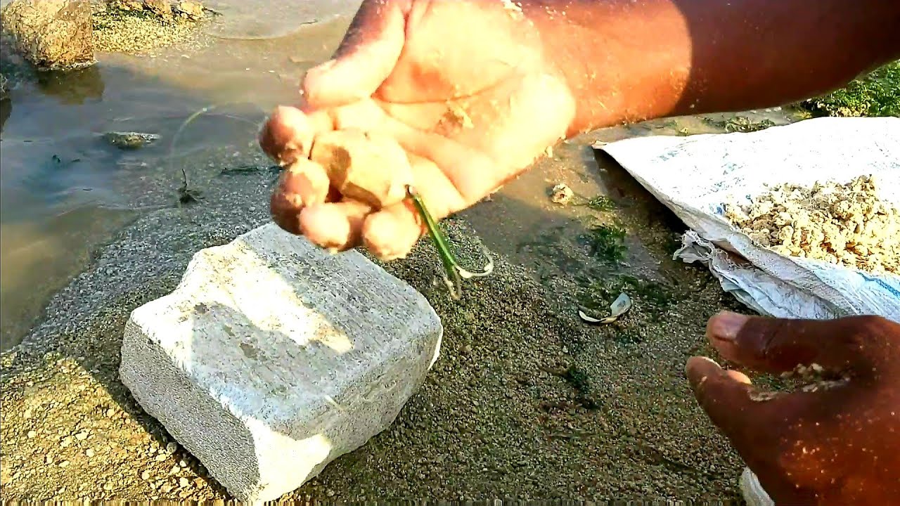 Hyderabad village fishing, rahu fish catching sing sekar. - YouTube