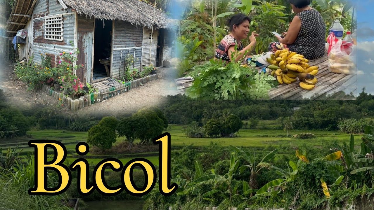 PROVINCE LIFE | Living simply in Bicol - YouTube