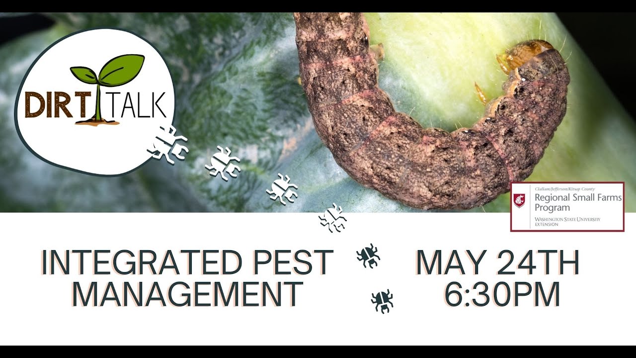 Dirt Talk - Integrated Pest Management - YouTube
