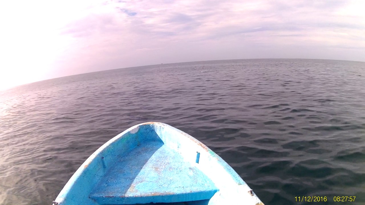 Tuna boiling - YouTube