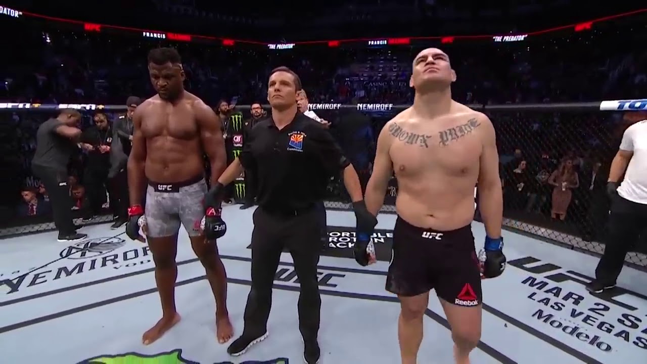 Knight velasquez spg chapter