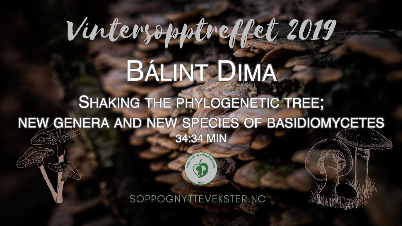 Shaking the phylogenetic tree; New Genera & New Species of ...