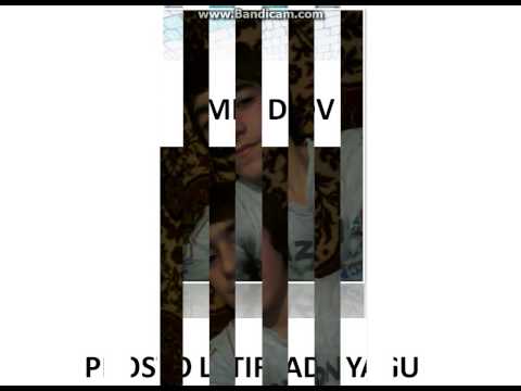 Seki Oglanlari......