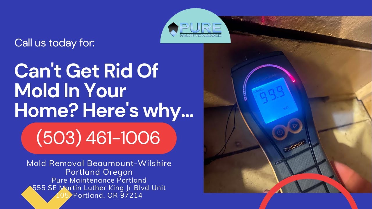 Mold Removal Beaumount-Wilshire Portland Oregon - Pure Maintenance ...