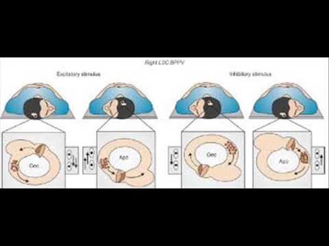 Horizontal Roll Test - YouTube