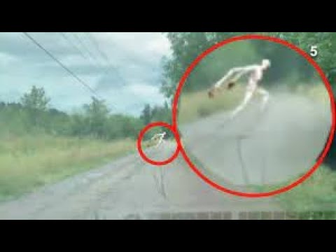 5 Mysterious Creatures Caught on Camera - YouTube