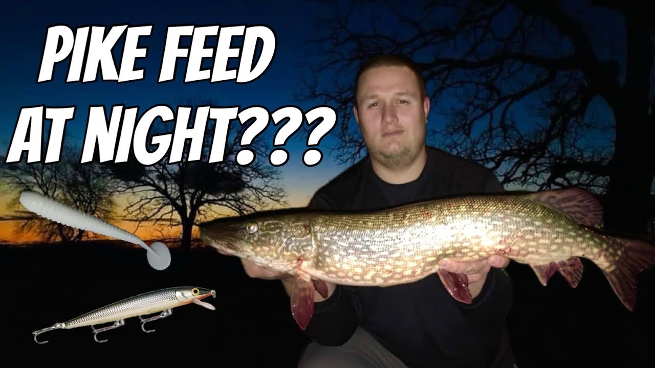 INSANE NIGHT FISHING for NORTHERN PIKE! - YouTube