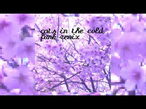 cats in the cold (funk remix) - DJ ROCKET