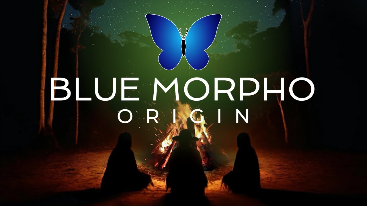 What is the Blue Morpho Experience like? - YouTube