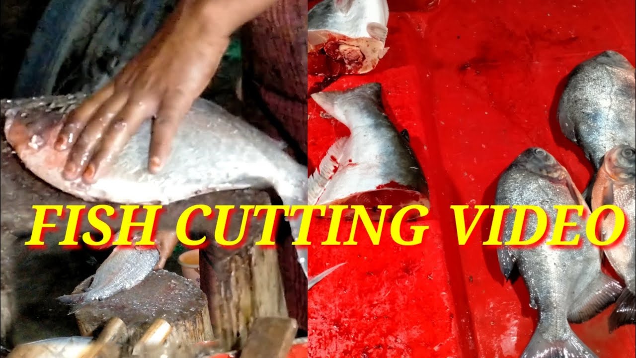 Rupchanda Fish Cutting | Fish Cutting Market | Fish Cutting Skills ...