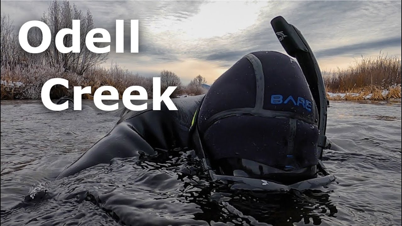 Snorkeling in Oregon | We Saw Hundreds of Fish! - YouTube