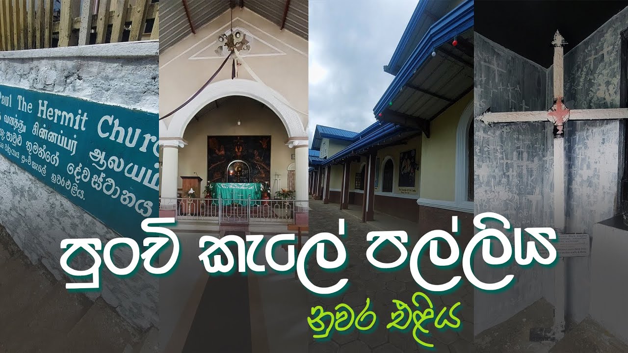 Punchi Kele Palliya පුංචි කැලේ පල්ලිය - නුවර එළිය | Sayuni and Hesali # ...