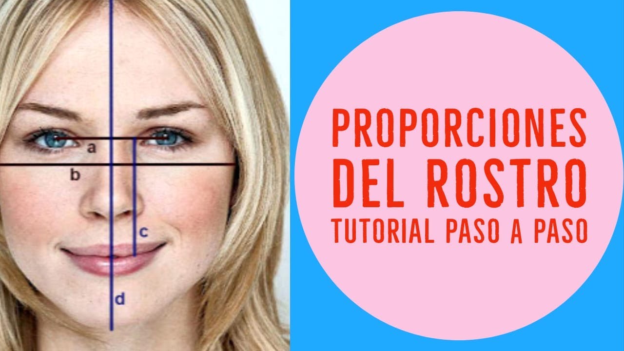 Tips para entender las proporciones del rostro humano, por Luis Angeles ...