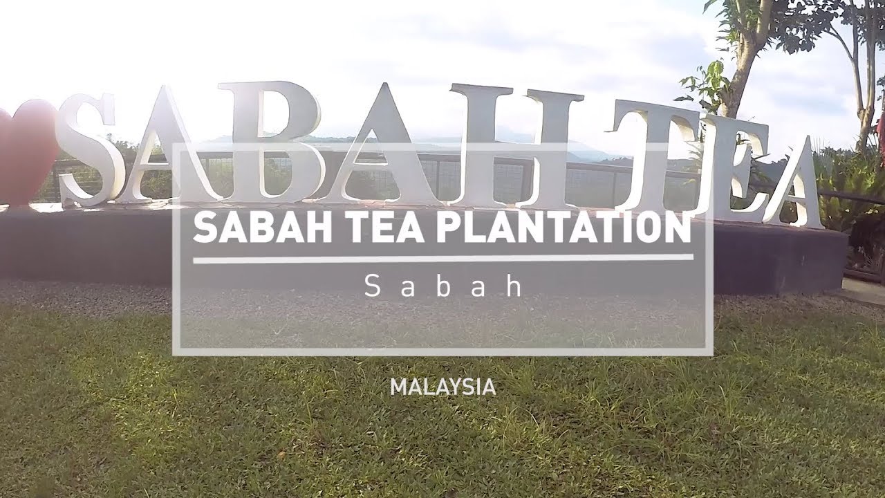 Sabah Tea Plantation, Malaysia #ExploreSabah - YouTube