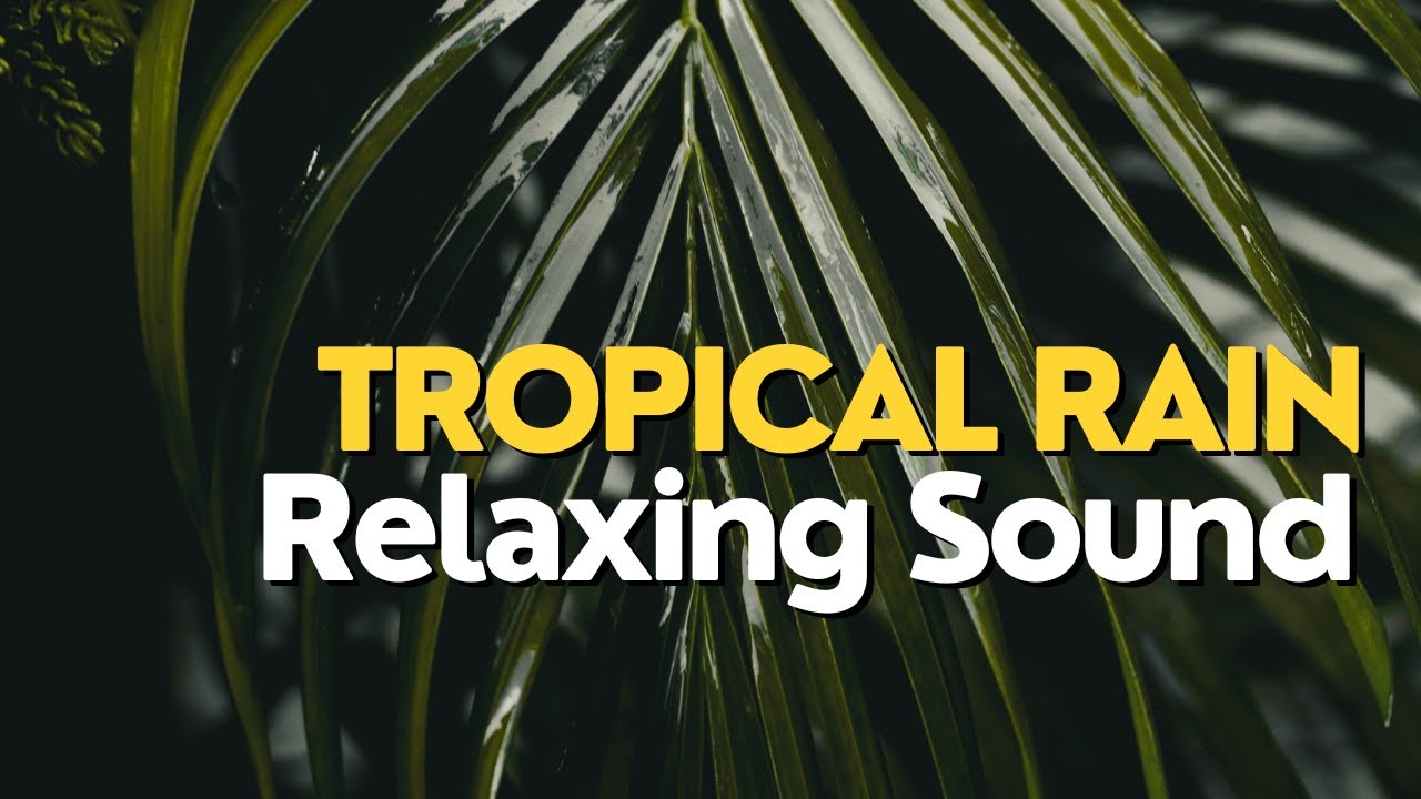 Tropical Rain Sound/Relaxing - YouTube