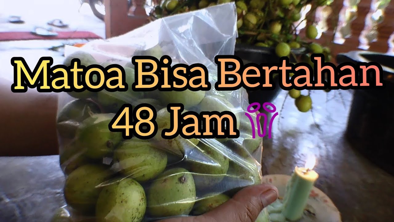 Cara Packing BUAH MATOA Untuk Dikirim - YouTube