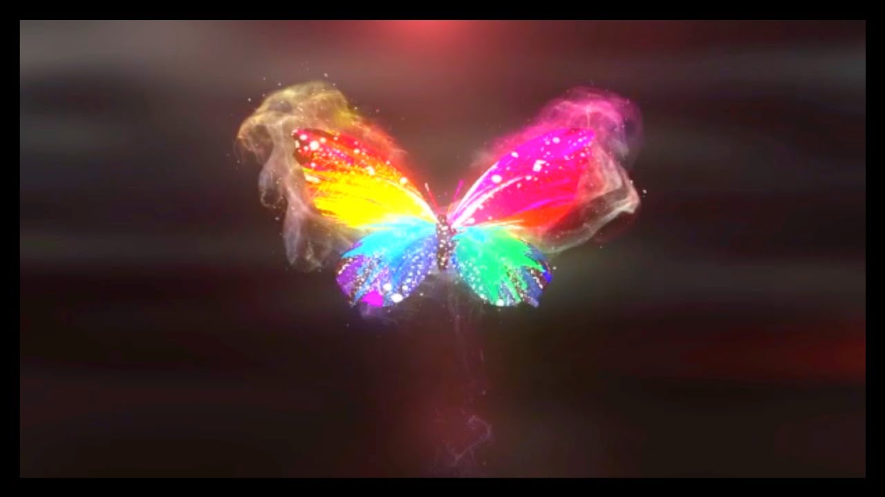 Butterfly Visual Effect - YouTube