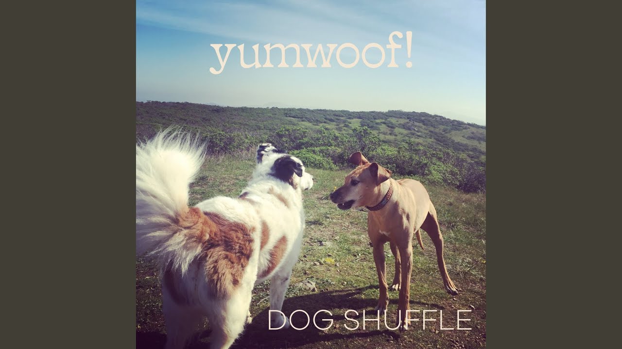 DOG SHUFFLE - YouTube