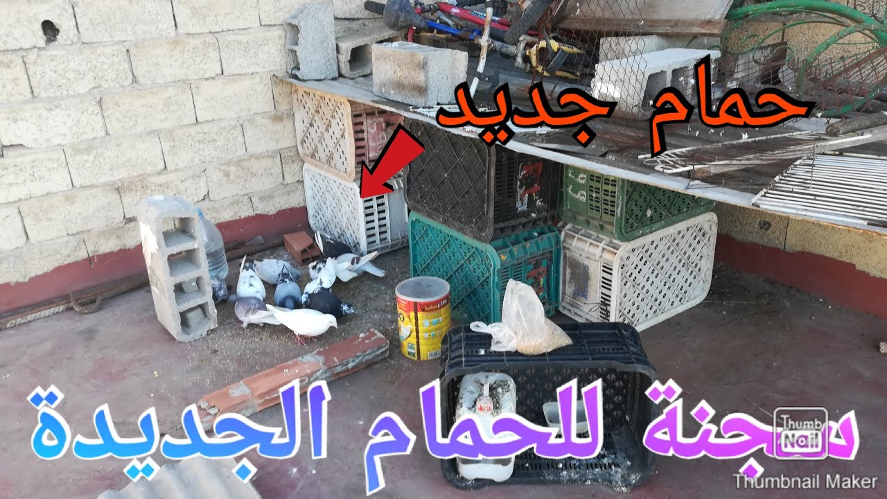 Hamam zajil سجنة للحمام الجديدة +حمام جديد - YouTube