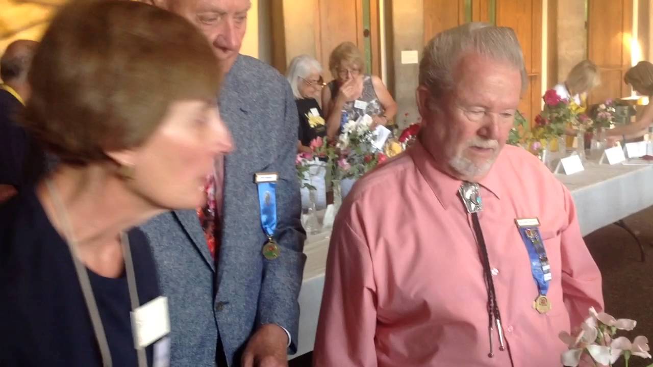 2016 Denver Rose Society Rose Show Judging - YouTube