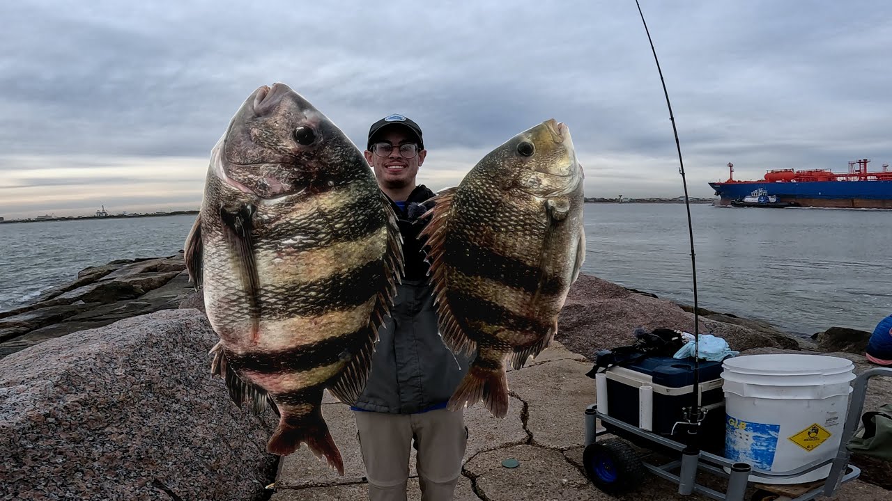 UNBELIEVABLE START to the TEXAS SHEEPSHEAD SEASON - YouTube