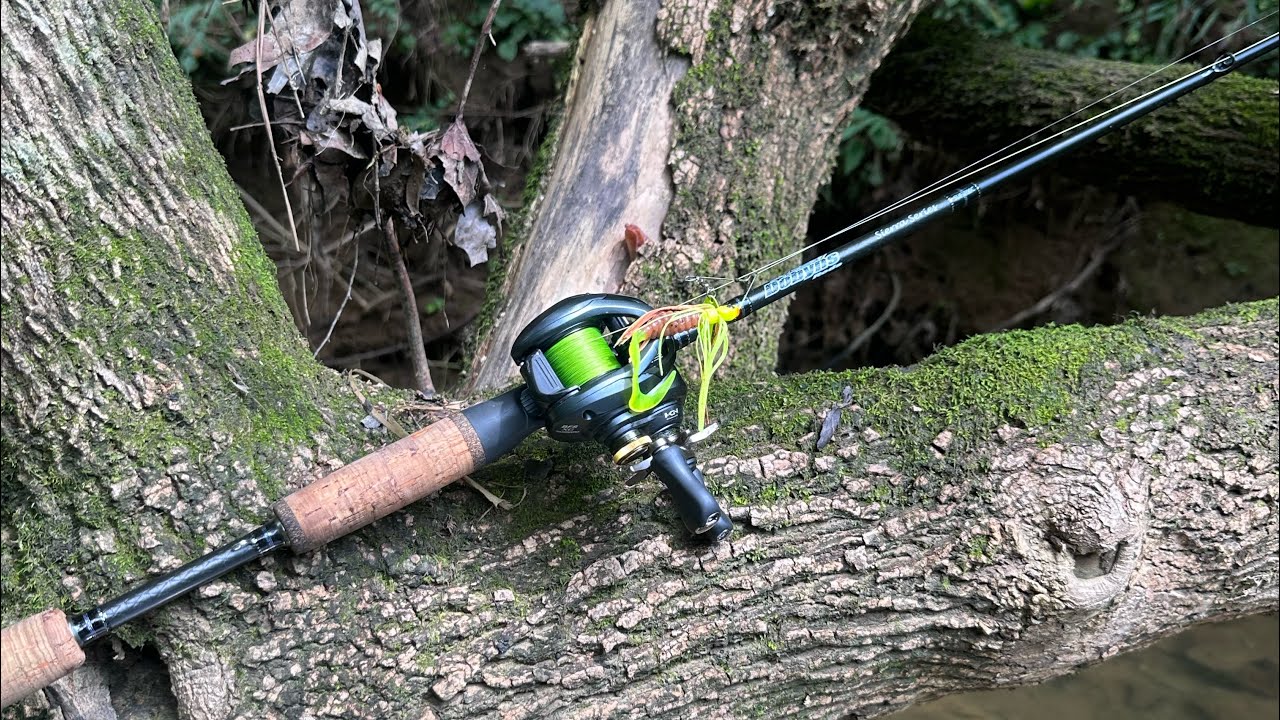 Dobyns Sierra Ultra Finesse/ Shimano Curado BFS Rod and Reel Review ...